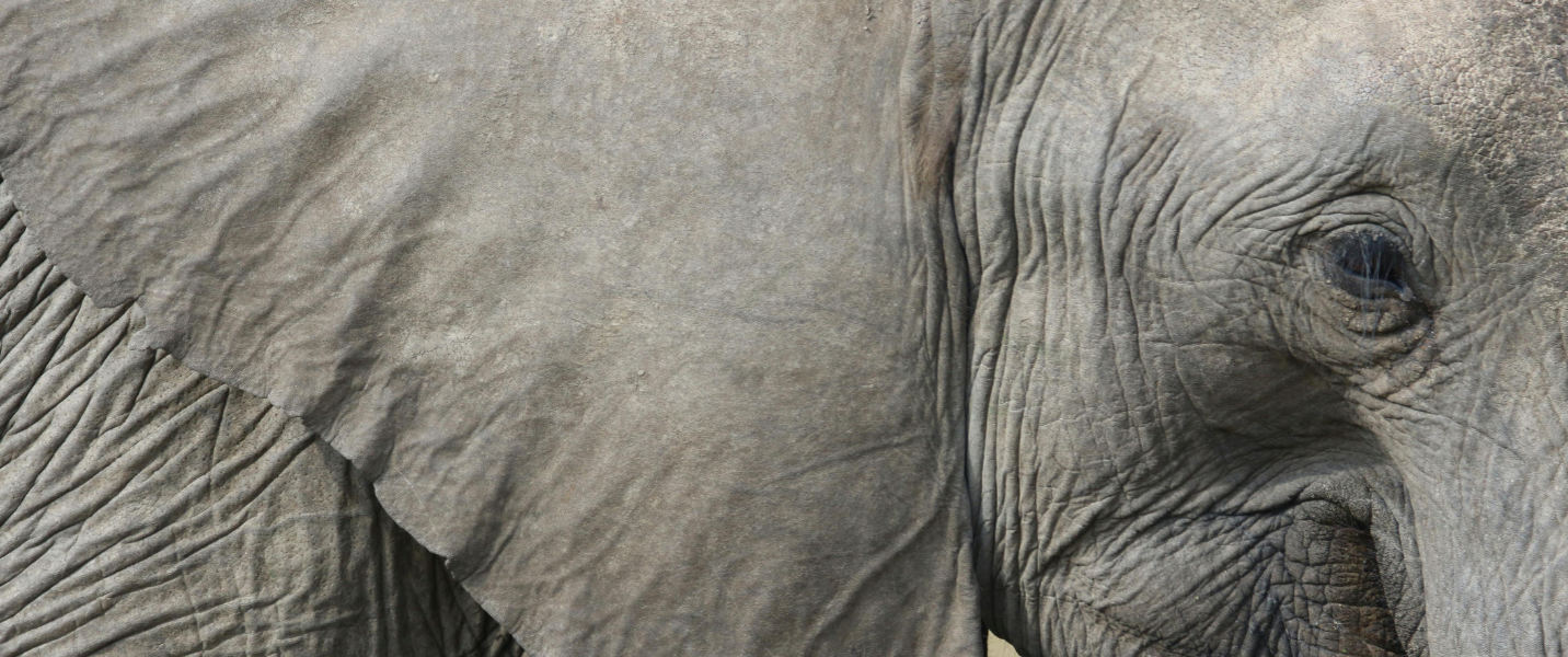 Hur verkar kollagen mot rynkor? Här är allt du behöver veta | Kindly